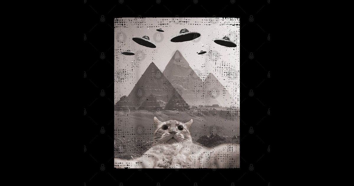 Cat UFO Meme - Funny Cat Selfie with UFOs - Ufo - Posters and Art ...