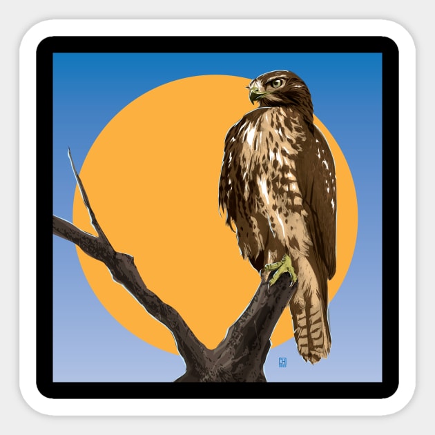 Red-Tailed Hawk - Hawk - Sticker | TeePublic