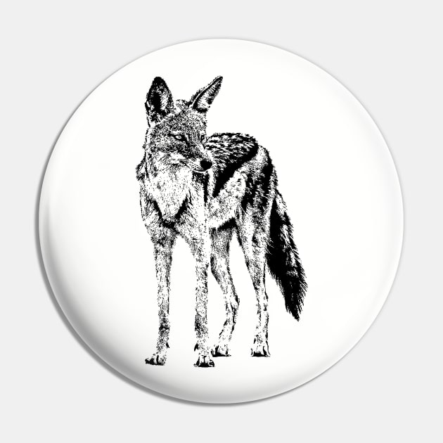 Black-backed Jackal for African Wildlife Fans - Jackal - Pin | TeePublic