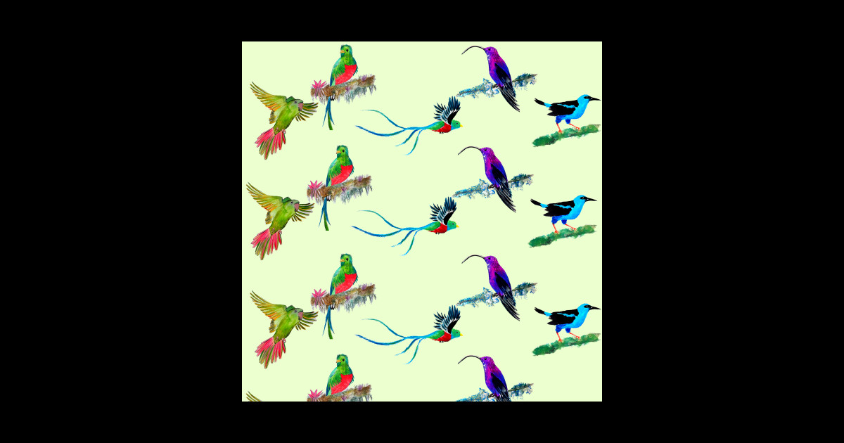 Quetzal Bird Pattern - Annelise - Posters and Art Prints | TeePublic