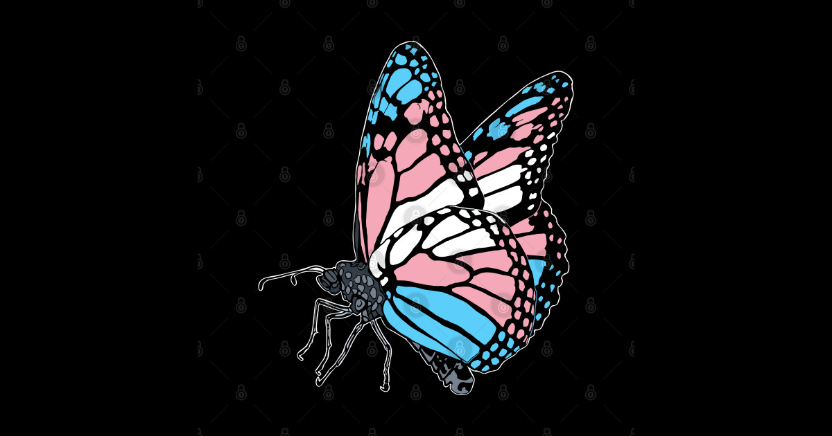Transgender Butterfly - Transgender Pride - Sticker | TeePublic