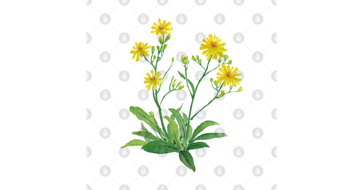 March 11th birthday flower - Birthday - T-Shirt | TeePublic