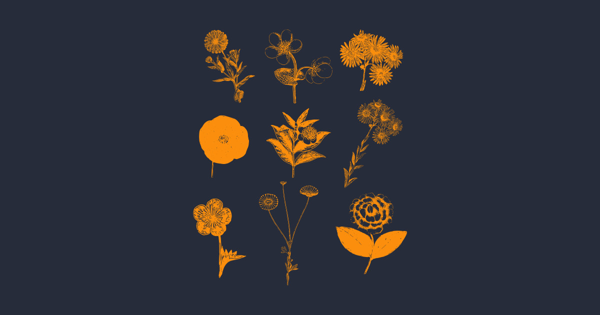 Flower Line Art Drawing in Orange - Flower Line Art Drawing - Long ...