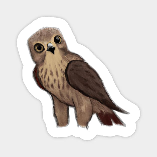 cute hawk drawing - Cute Hawk Drawing - Magnet | TeePublic