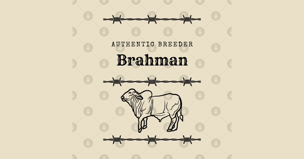 Authentic Brahman Breeder - Cattle - T-Shirt | TeePublic