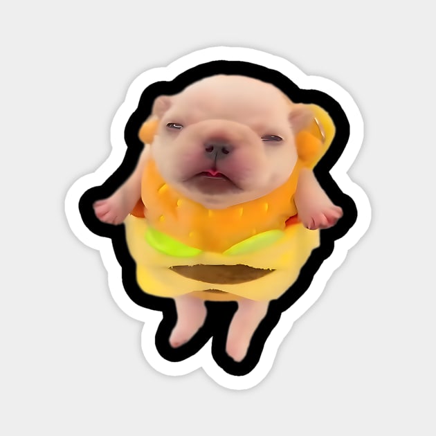 Funny Pibble Meme – Brainrot Meme, Wash My Belly - Pibble Meme - Magnet ...