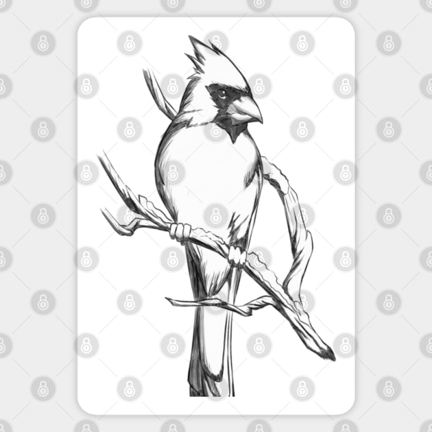 Northern Cardinal - Drawing Gift for Cardinal Lovers - Cardinals ...