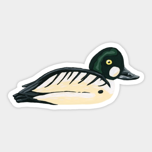 Common Goldeneye Duck - Duck - Sticker | TeePublic