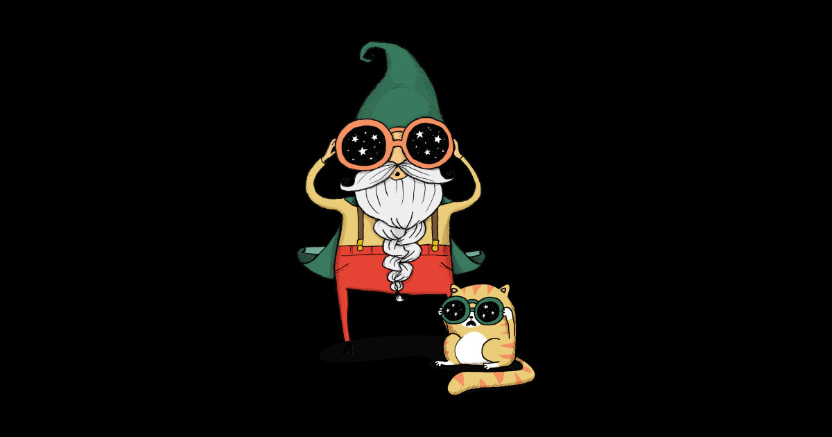 Wizard and Cat - Wizard - Posters and Art Prints | TeePublic