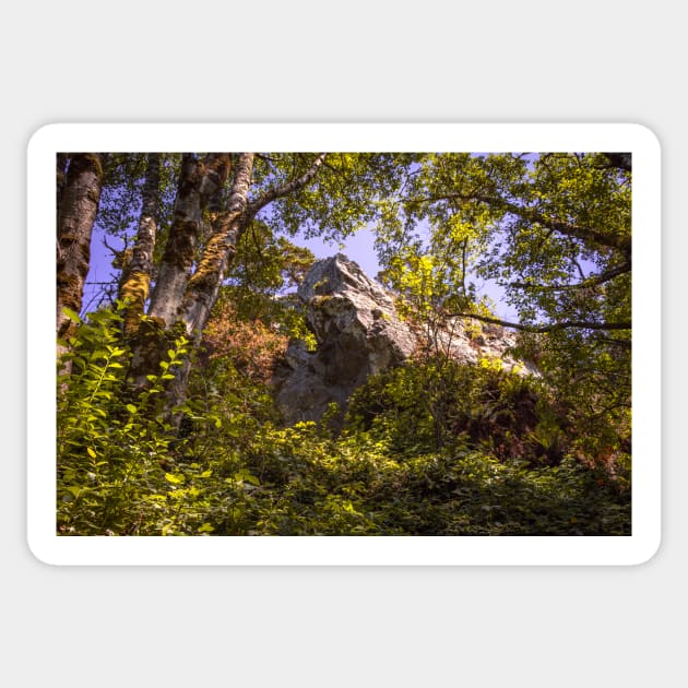 Looking up at Lookout Rock - Rock - Sticker | TeePublic