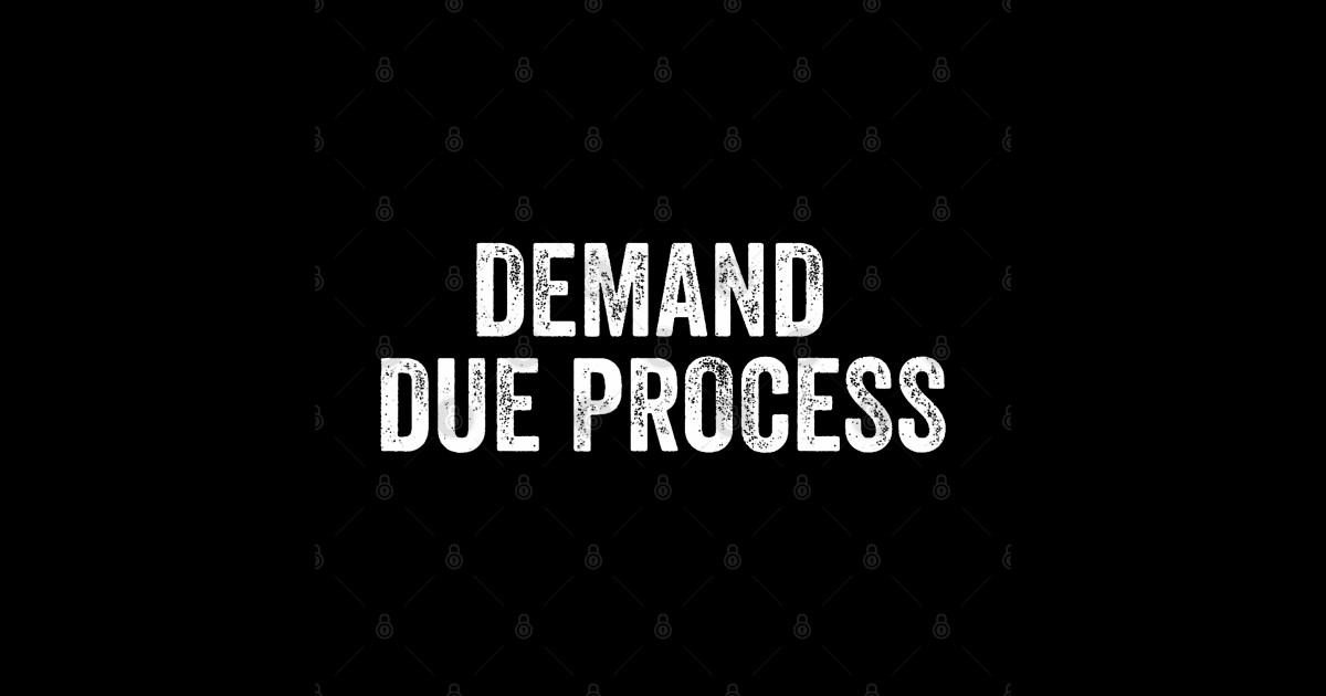 Demand Due Process - Due Process - Sticker | TeePublic