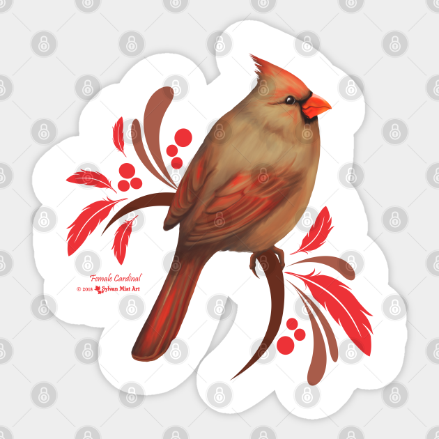 Female Cardinal - Cardinals - Sticker | TeePublic