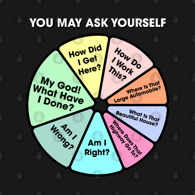 You May Ask Yourself - Once In A Lifetime Pie Chart - Talking Heads - T ...