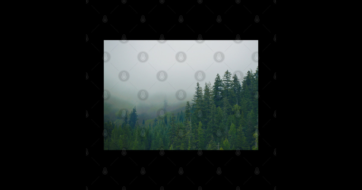 Misty Mountains - Misty - Sticker | TeePublic