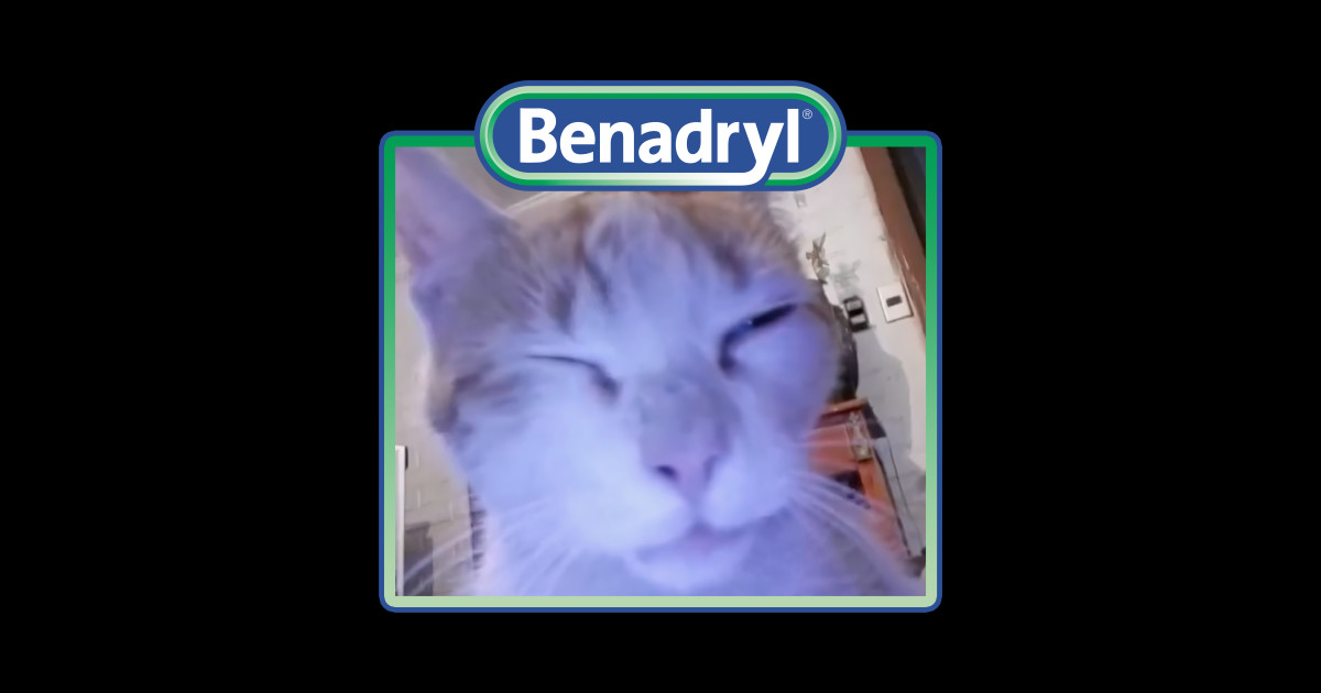 Benadryl Cat Meme - Benadryl Cat - Sticker | TeePublic