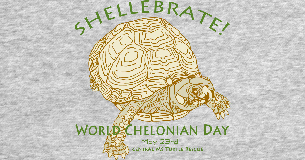 Happy World Turtle Day - World Chelonian Day! - Turtle - T-Shirt ...
