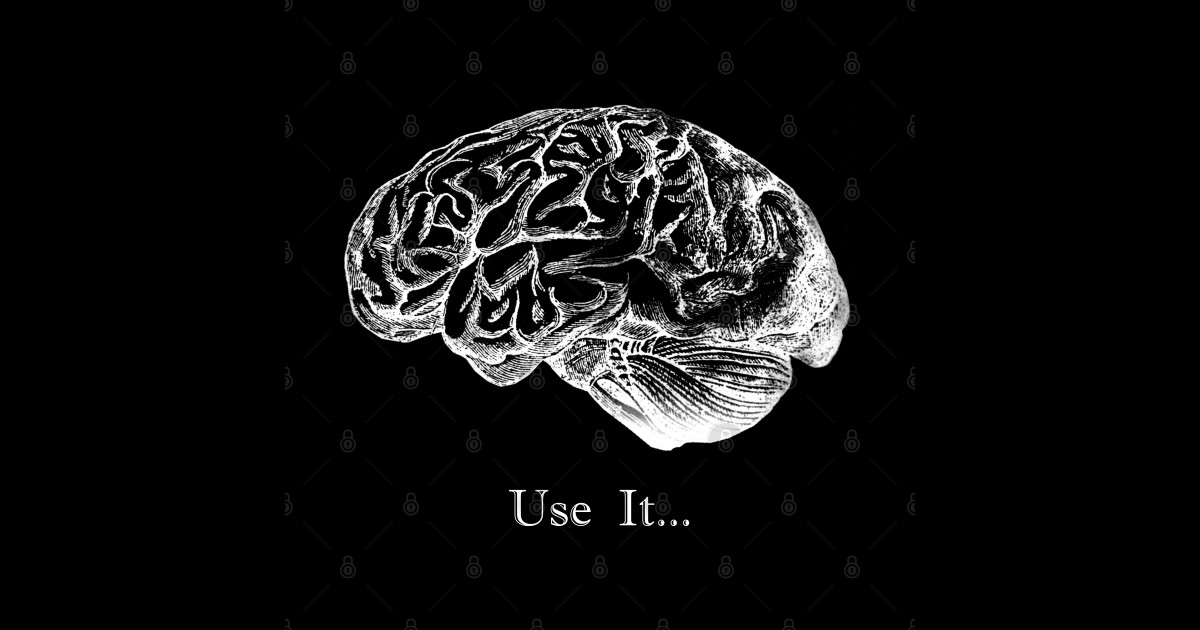 Brain Anatomy.. Use It... - Brain Anatomy Art - Posters and Art Prints ...