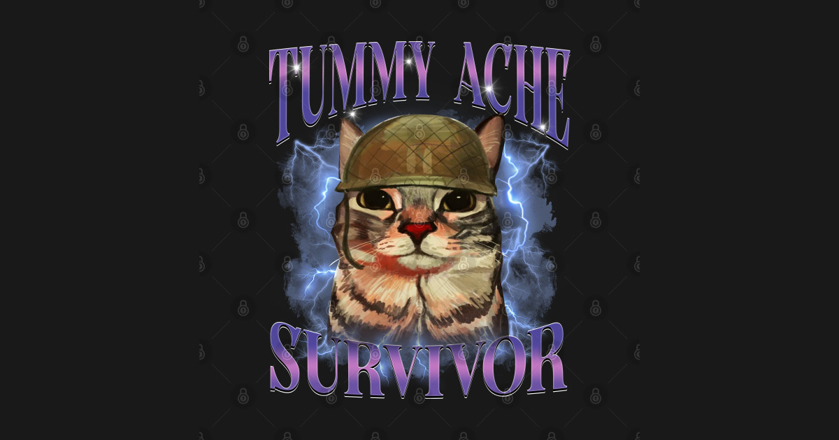 Funny Cat Meme Tummy Ache Survivor Sarcasm Humor - Tummy Ache Survivor ...