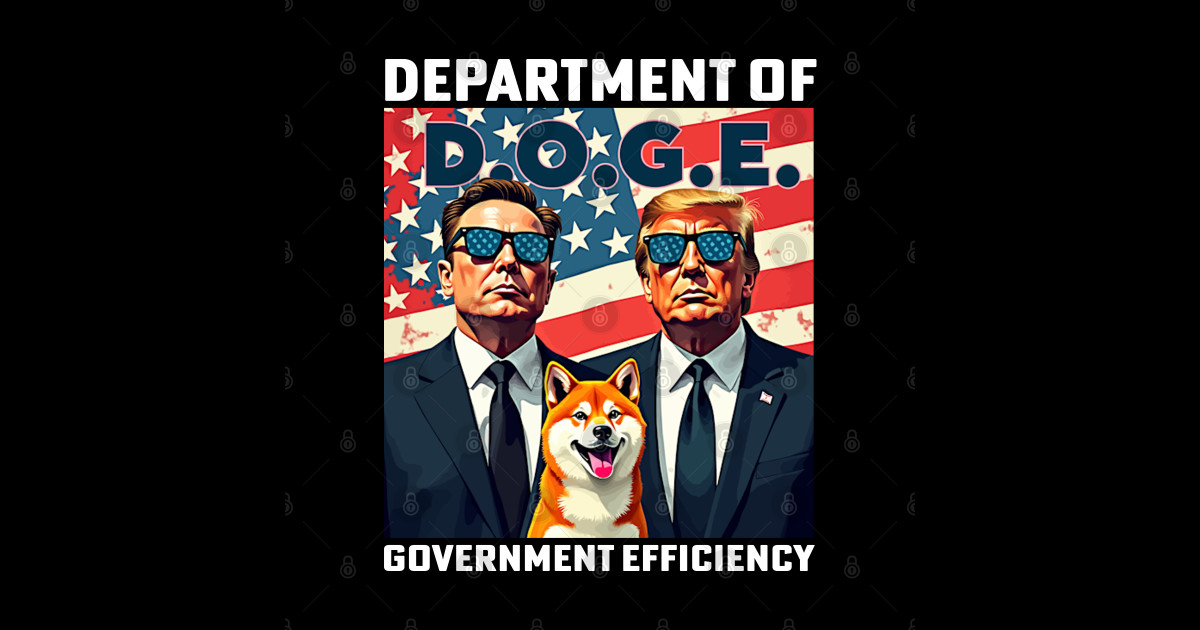 DOGE Department of Government Efficiency DOGE Trump 47th - Department ...
