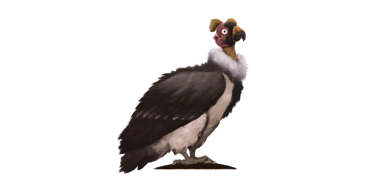 Cute Condor Drawing - Condor - T-Shirt | TeePublic