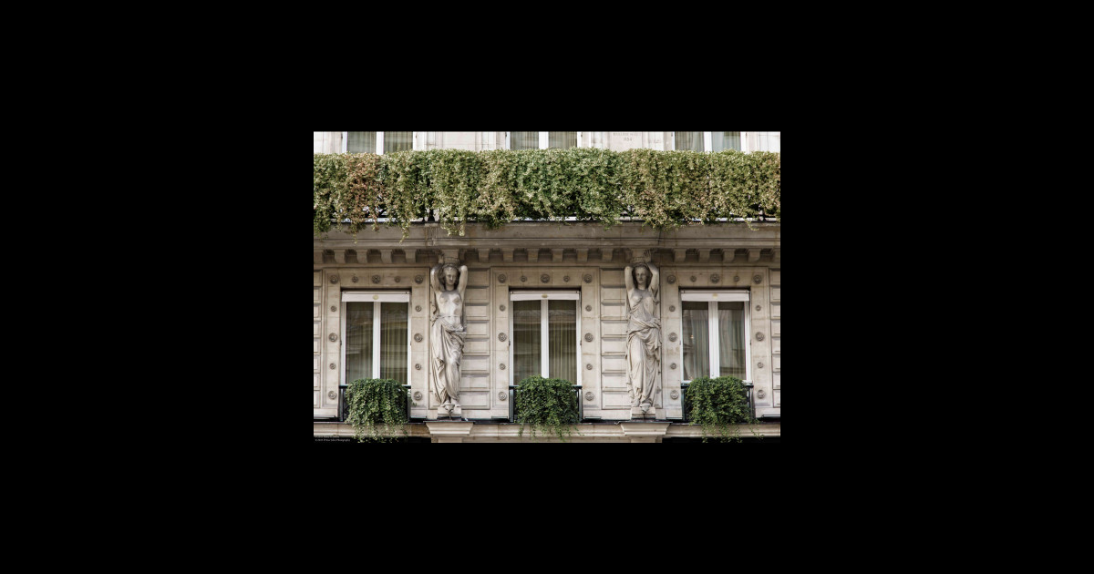 Parisian Building Facades - 7 © - Facade - Sticker | TeePublic