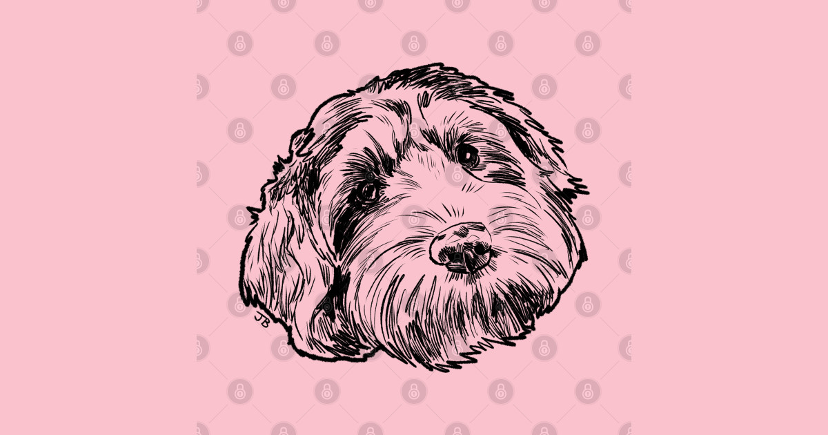 Labradoodle Sketch - Labradoodle - Posters and Art Prints | TeePublic