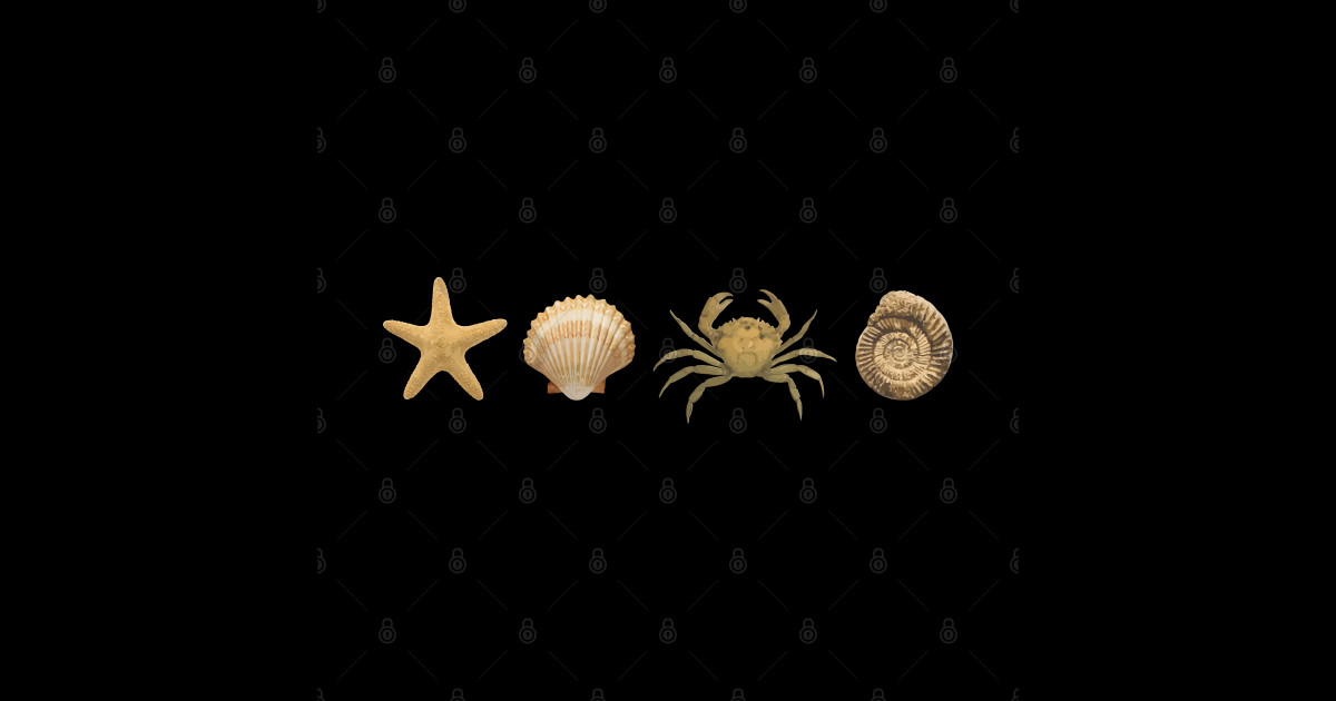 The Rockpool - Shore - Sticker | TeePublic