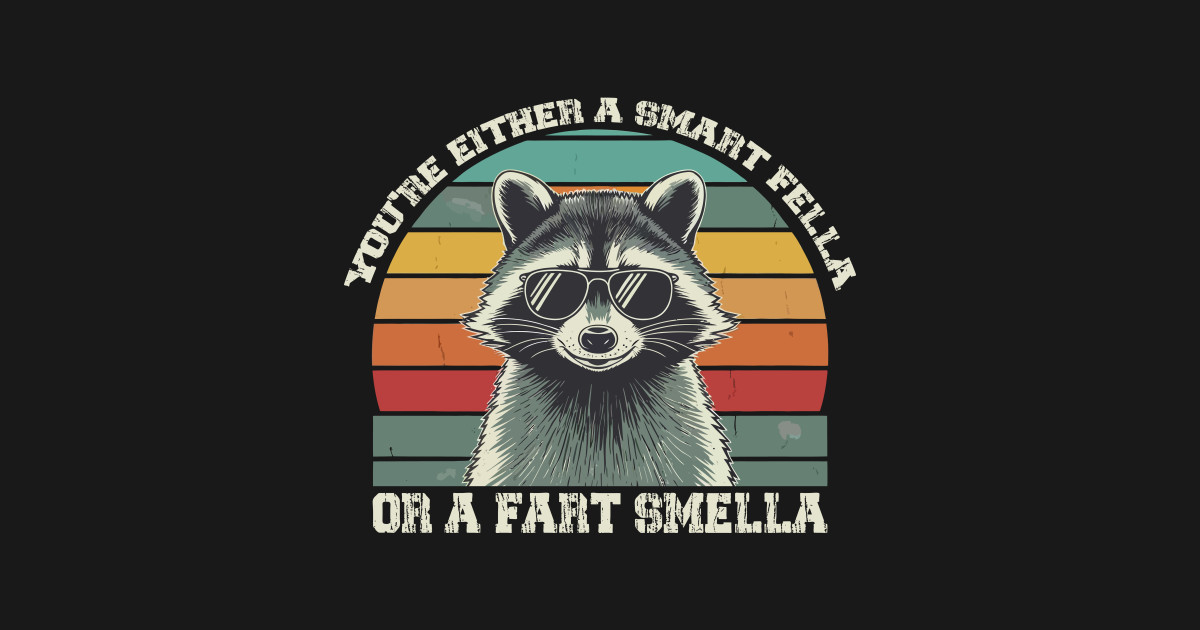 YOU'RE EITHER A SMART FELLA OR A FART SMELLA - RETRO RACCOON COOL ...