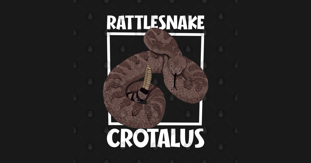 Rattlesnake - Rattlesnake - T-Shirt | TeePublic