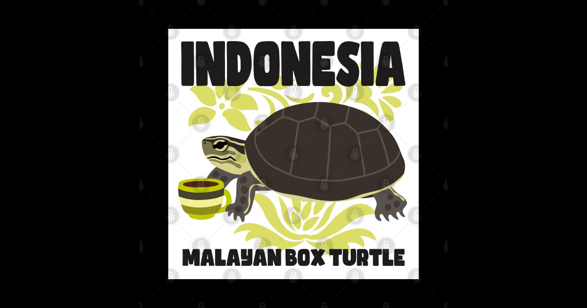 Malayan Box Turtle - Turtle - Posters and Art Prints | TeePublic