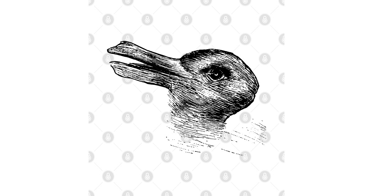 Optical Illusion - Rabbit Duck - Optical Illusion - T-Shirt | TeePublic