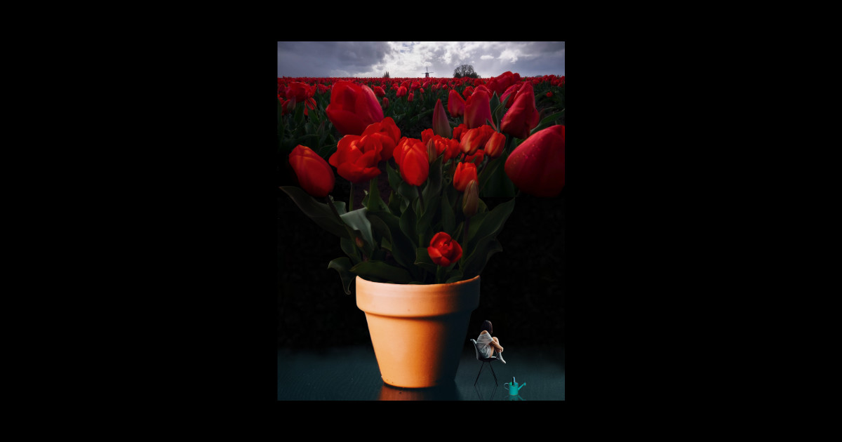 Perseverance - Perseverance - Sticker | TeePublic