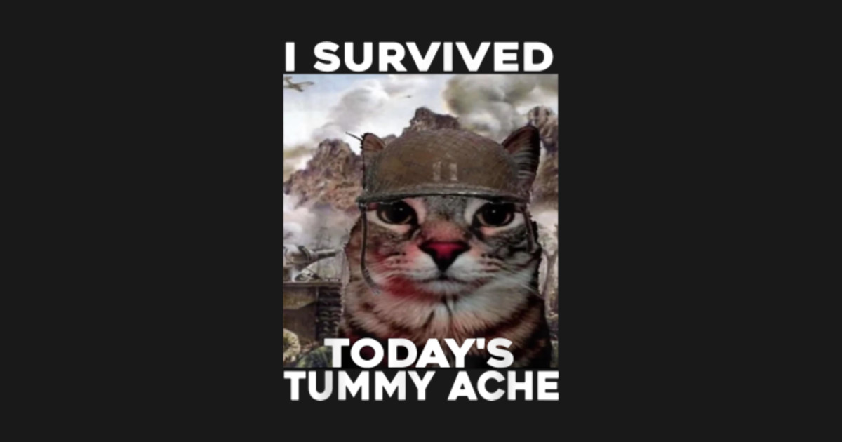 I Survived Today's Tummy Ache cat - Funny Survived Todays Tummy Ache ...