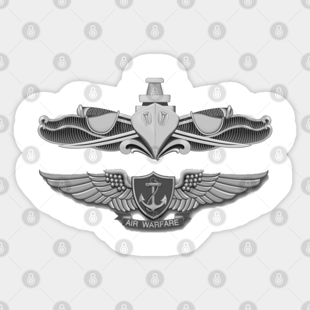 Enlisted surface warfare specialist (ESWS) and Enlisted Aviation ...