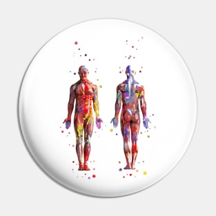 Human Muscular System Anatomy Etching Pins and Buttons for Sale | TeePublic