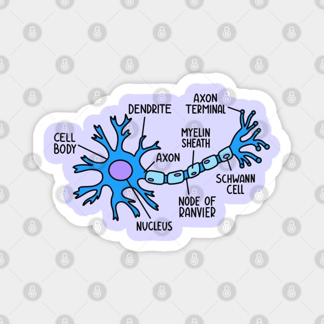 Hand Drawn Neuron Diagram - Neuron - Magnet | TeePublic