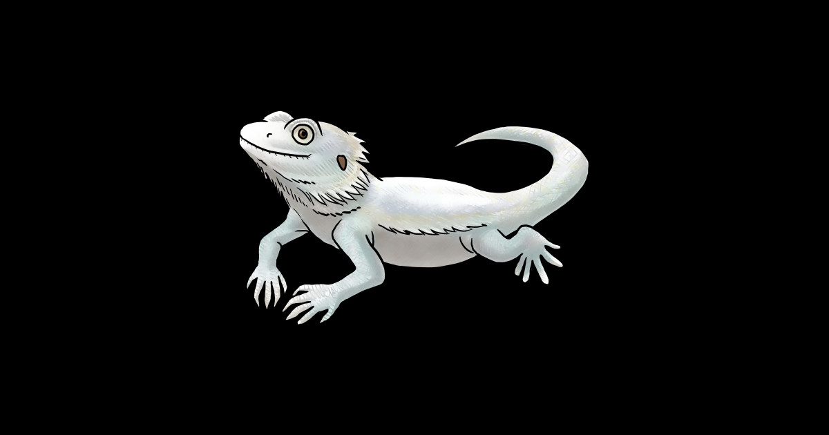 Reptile - Bearded Dragon - Hypo Trans Zero Morph - Bearded Dragon ...