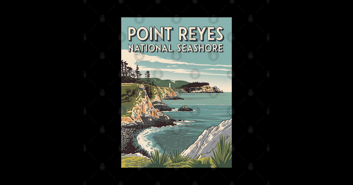 Point Reyes National Seashore Vintage Postcard - Point Reyes National ...