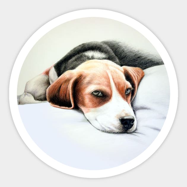 Beagle Pencil Drawing - Beagle - Sticker | TeePublic