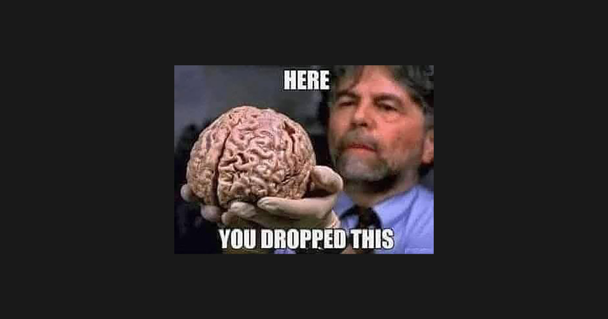 Here, You Dropped Your Brain Meme - Stupid - T-Shirt | TeePublic