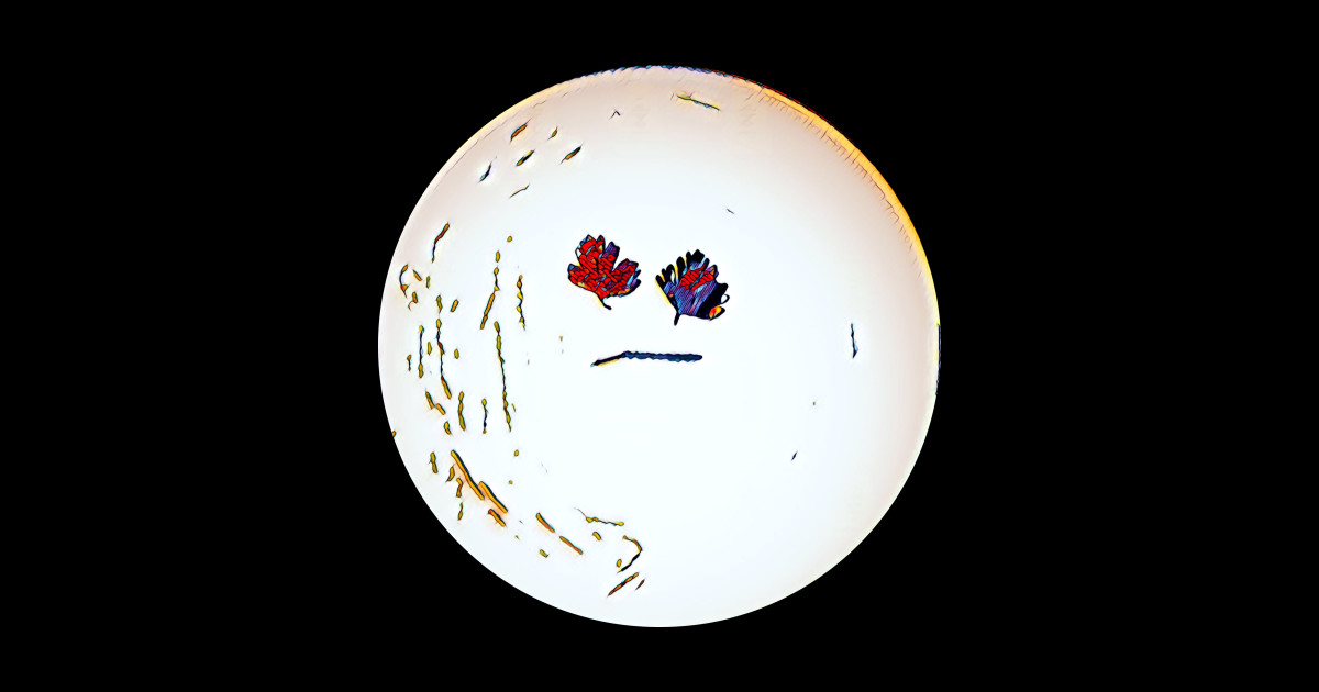 Parsley Moon Face - Son - Sticker | TeePublic