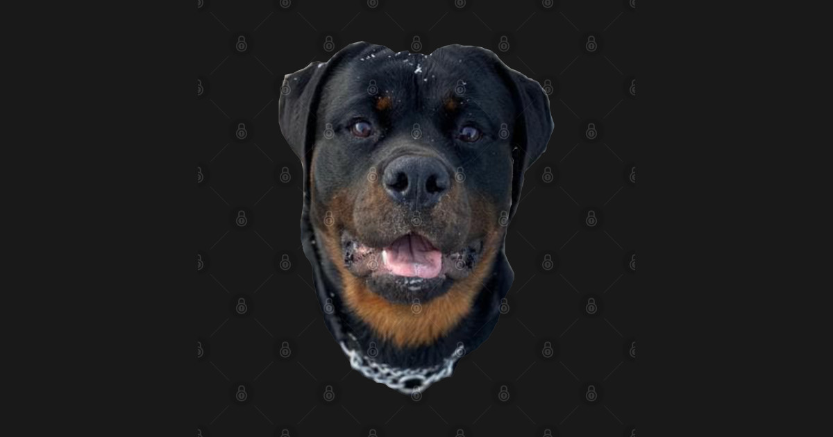 Rottweiler Head - Rottweiler Head - Hoodie | TeePublic