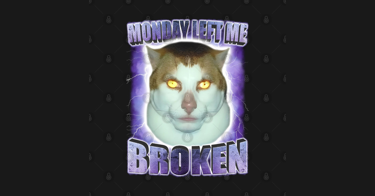 Monday Left Me Broken Funny Cat Meme - Monday Left Me Broken - T-Shirt ...