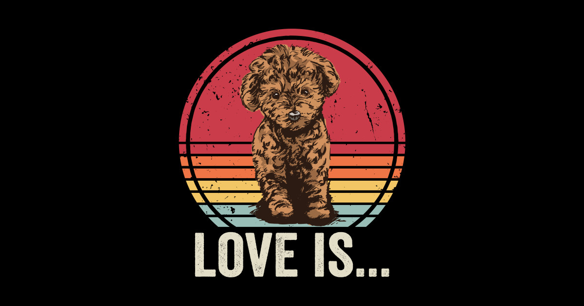 Love Is My Cavapoo Funny Cavapoo Lover - Cavapoo - Sticker | TeePublic