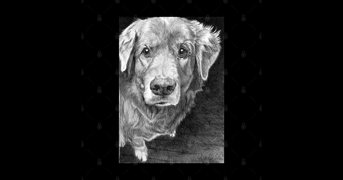 TUCKER - Toller - Sticker | TeePublic