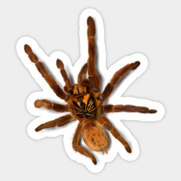 Orange Bitey Thing - Tarantula - Sticker | TeePublic