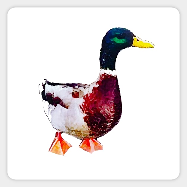 Drake duck print :) - Duck - Sticker | TeePublic