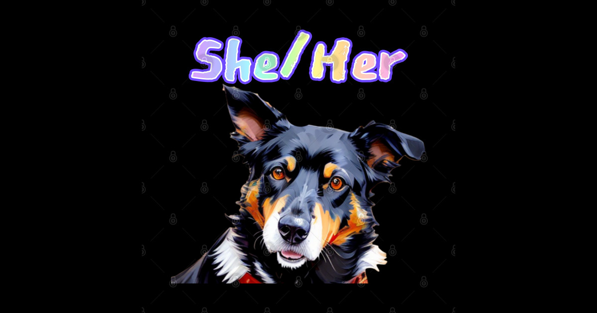 Laylah She Her Rainbow Text Hot Pink She Her Sticker Teepublic