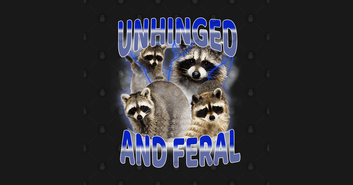 Unhinged And Feral Funny Raccoon Meme For Men Women - Unhinged And ...