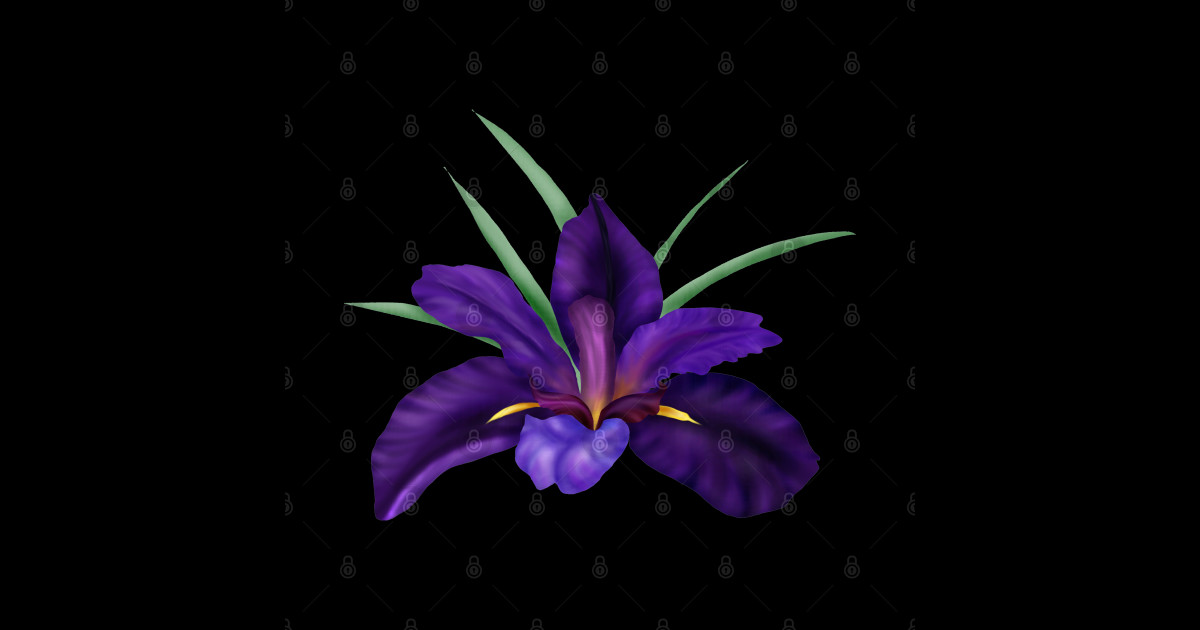 Deep Purple Bog Water Iris Art - Bog Iris - Sticker | TeePublic